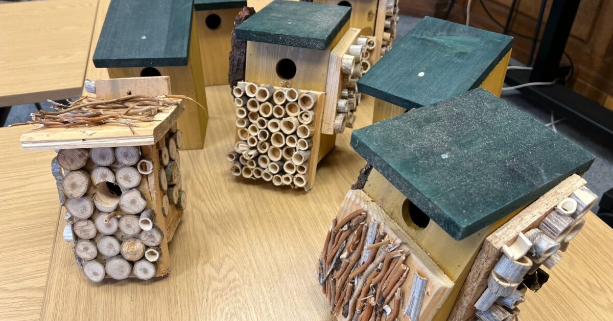 Boyne Community Lives supports Men in Sheds Bird Box Project | Optalis
