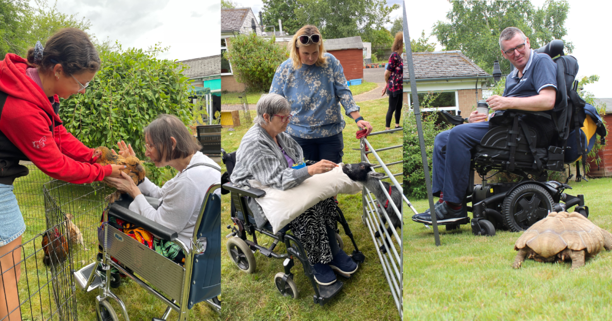 Westmead's summer event | Optalis